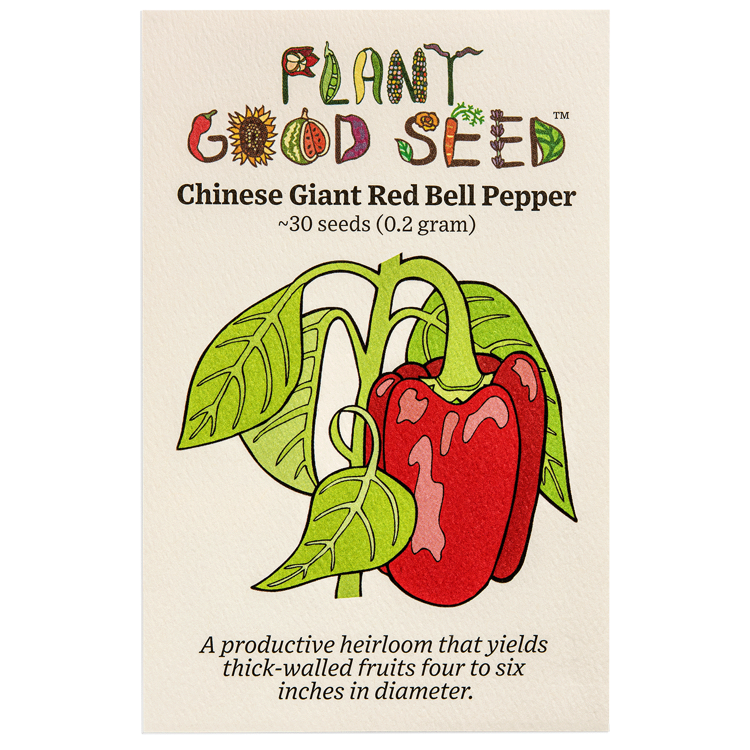 chinese giant red bell pepper – it refills